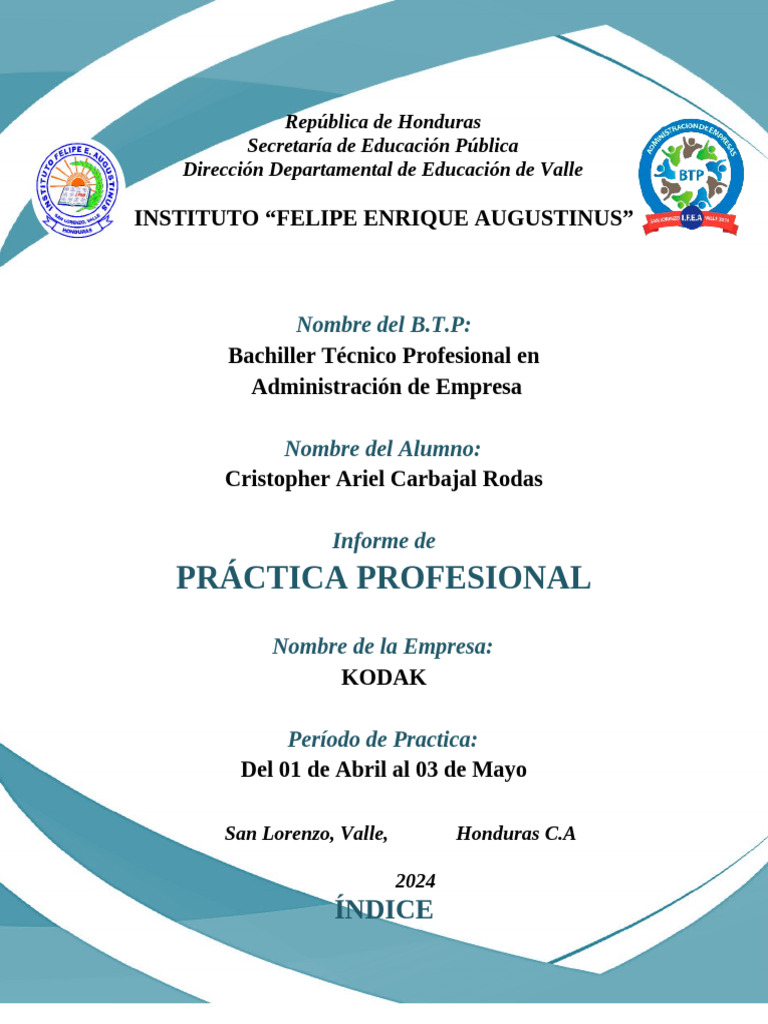 informe de practica profesional ariel | PDF