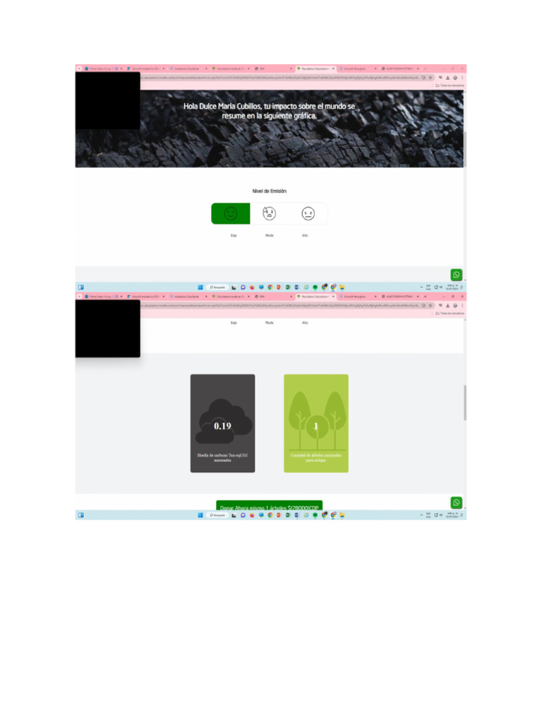 Huella Carbono | PDF