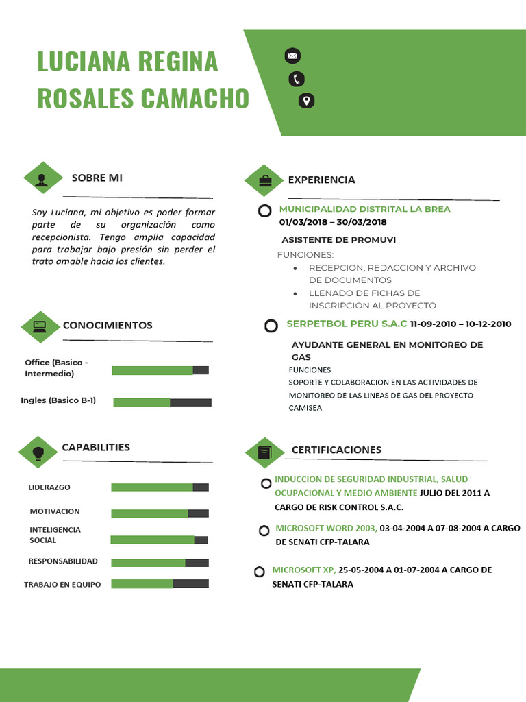 CV Luciana Rosales | PDF