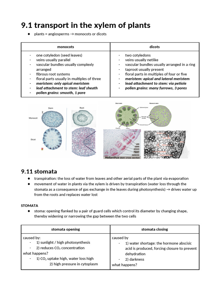 9 - Plant Biology | PDF