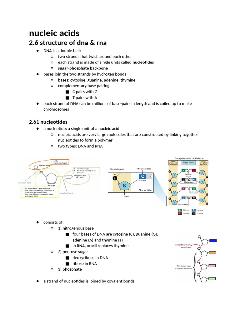 7 + 2.6 + 2.7 - Nucleic Acids | PDF