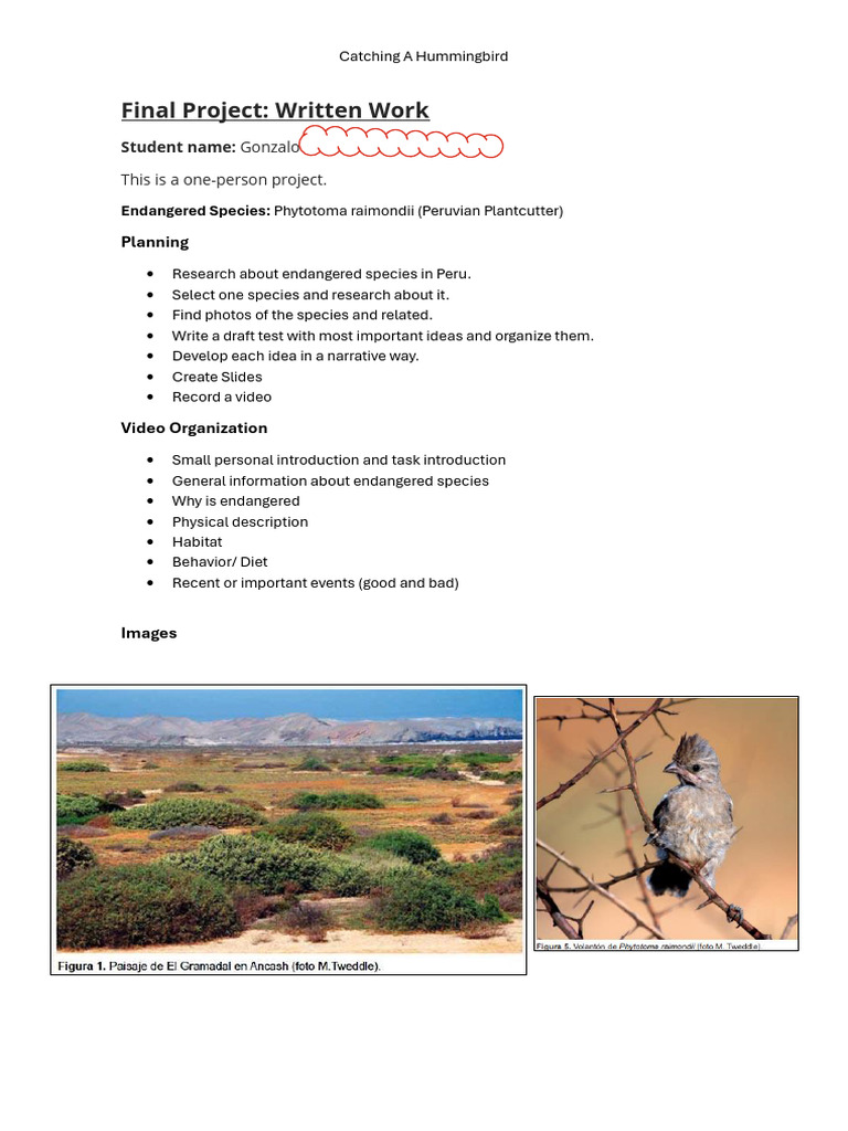 Final Project Written Work | PDF