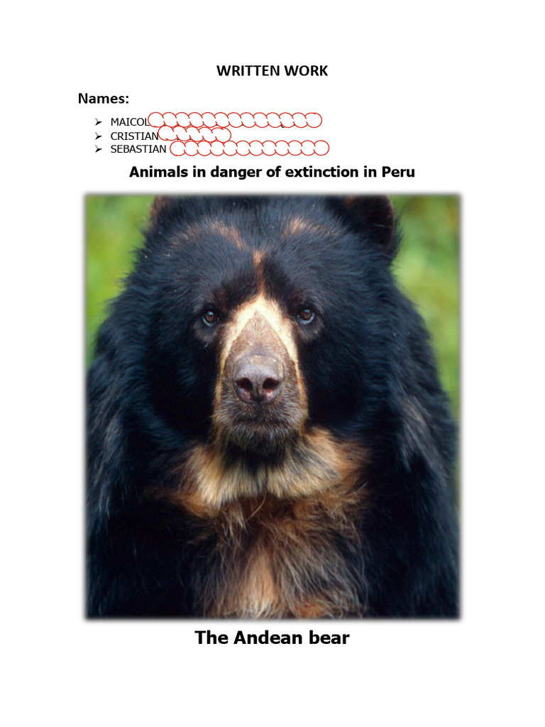 Final Project Written Work 1 | PDF