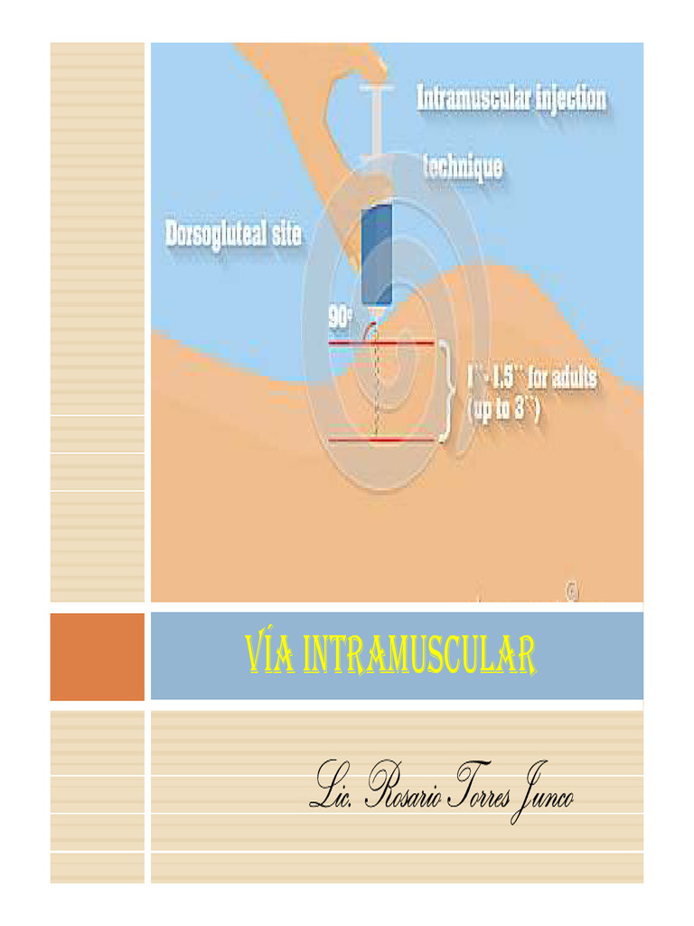 Via Intramuscular | PDF