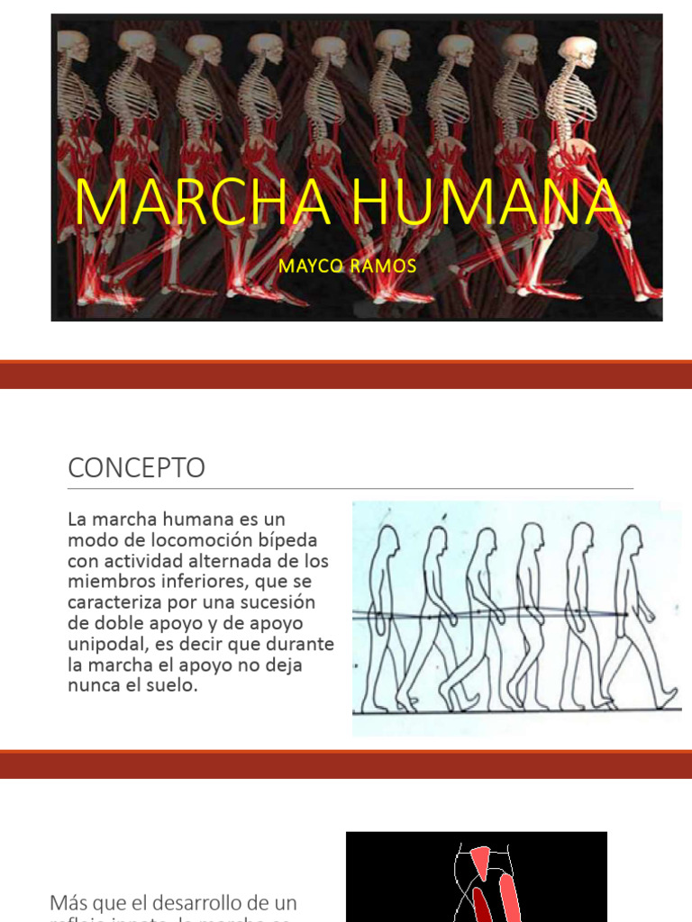 MARCHA HUMANA | PDF