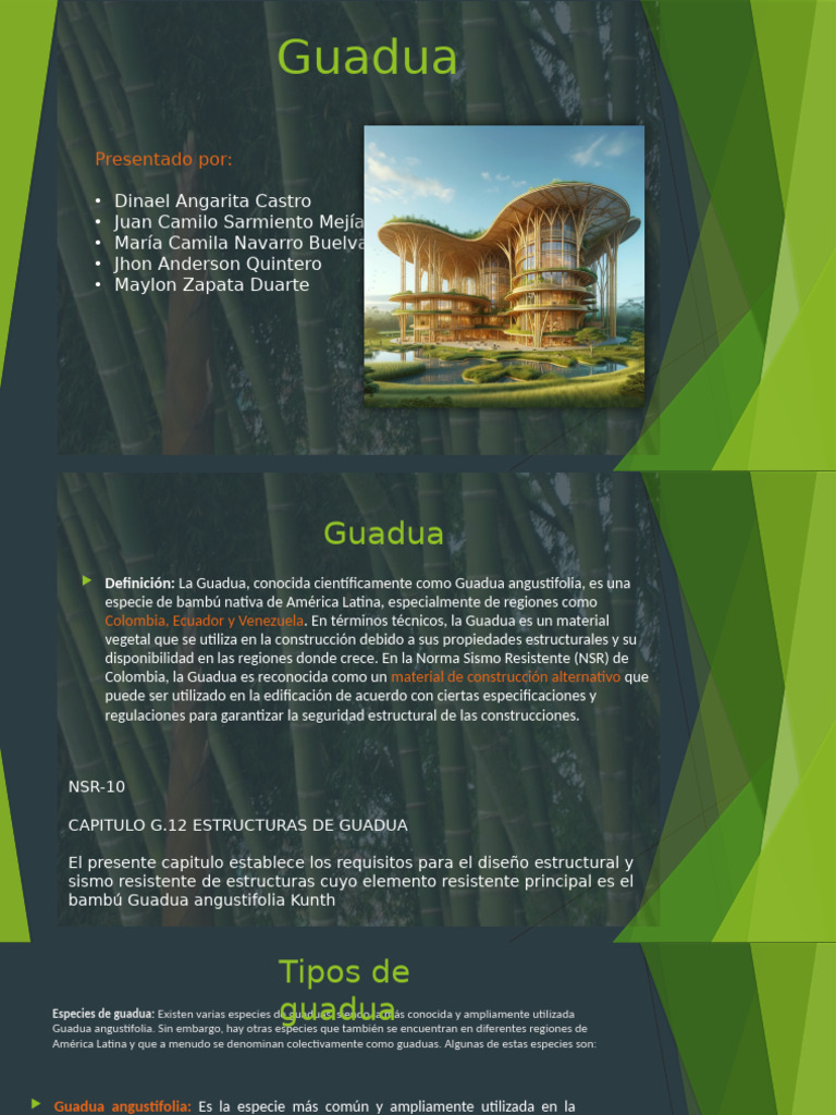 Guadua | PDF