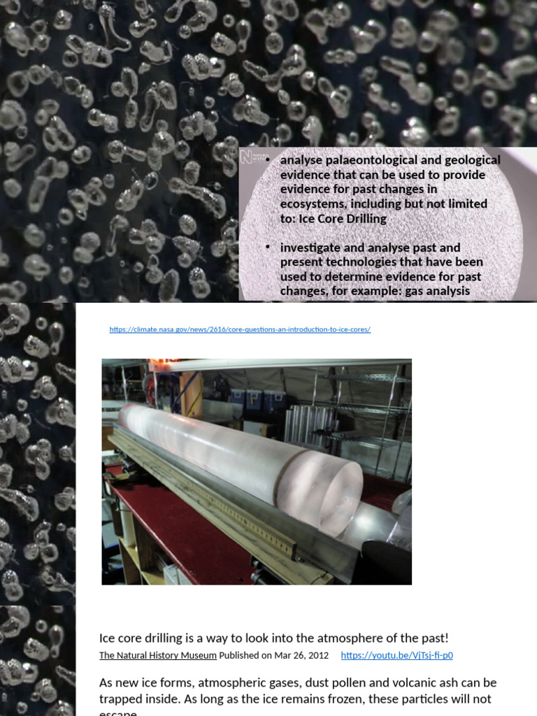 Ice Cores and Gas Analysis | PDF
