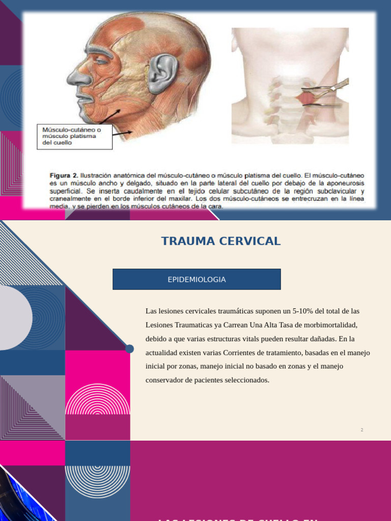 Traumatismo Cervical | PDF