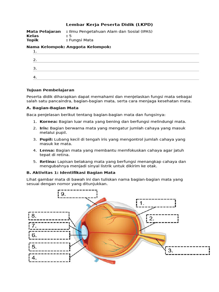 LKPD Ipas Fungsi Mata | PDF