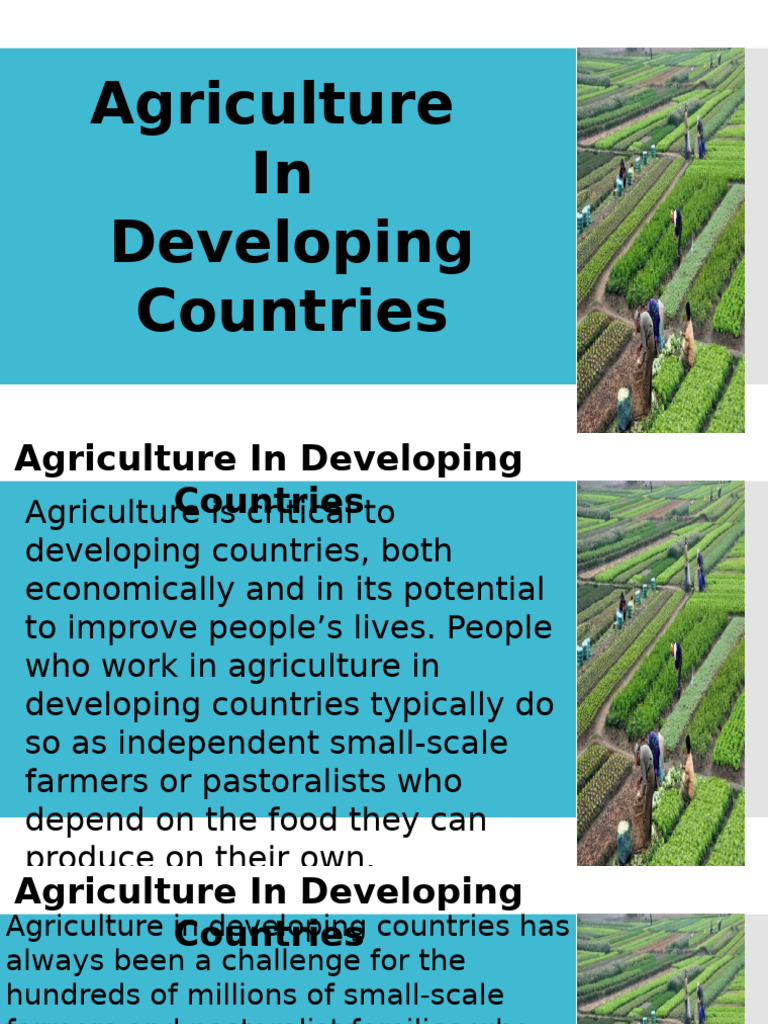 Agriculture in Developing Countries | PDF