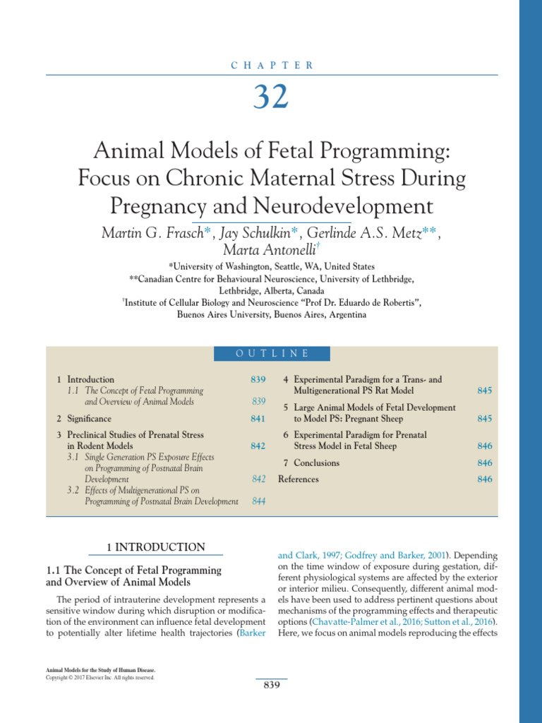 Animal Models Focus Maternal Stress Pregnancy Neurodevelopment | PDF