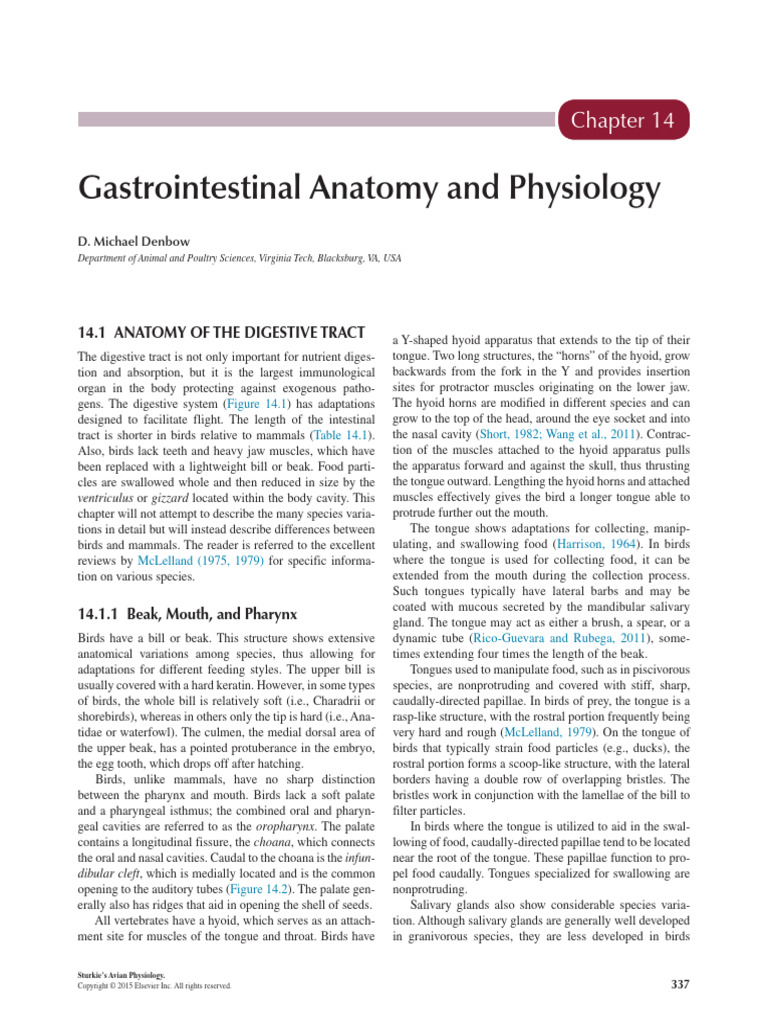 Gastrointestinal Anatomy and Physiology | PDF