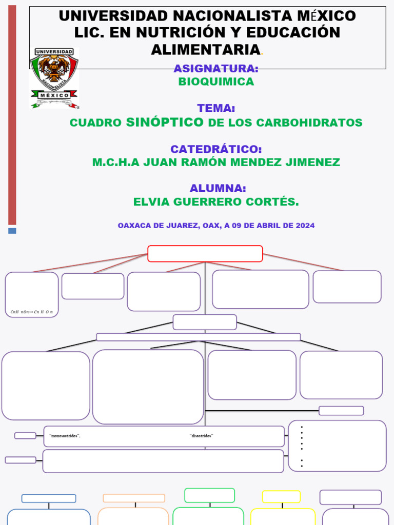 Mapa Conceptual | PDF