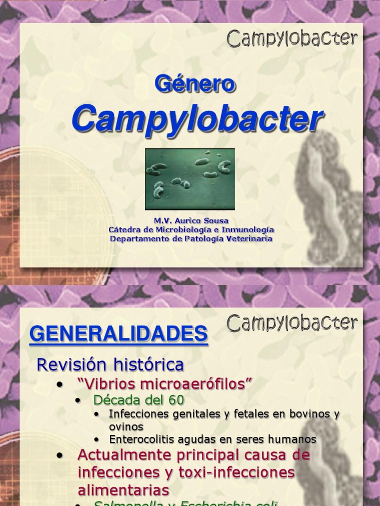9 Campylobacter | PDF | Diarrea | Escherichia coli