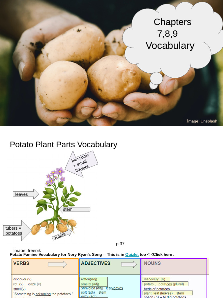 Chapters 7-8-9 - Summaries and Potato Famine Vocabulary | PDF