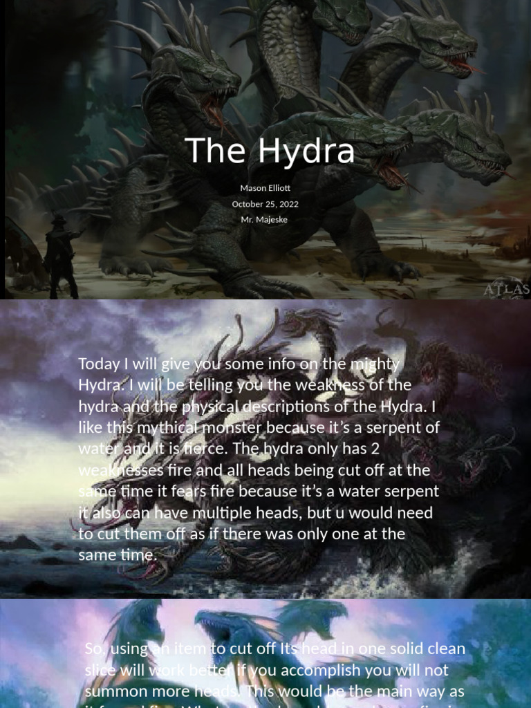 Hydra | PDF