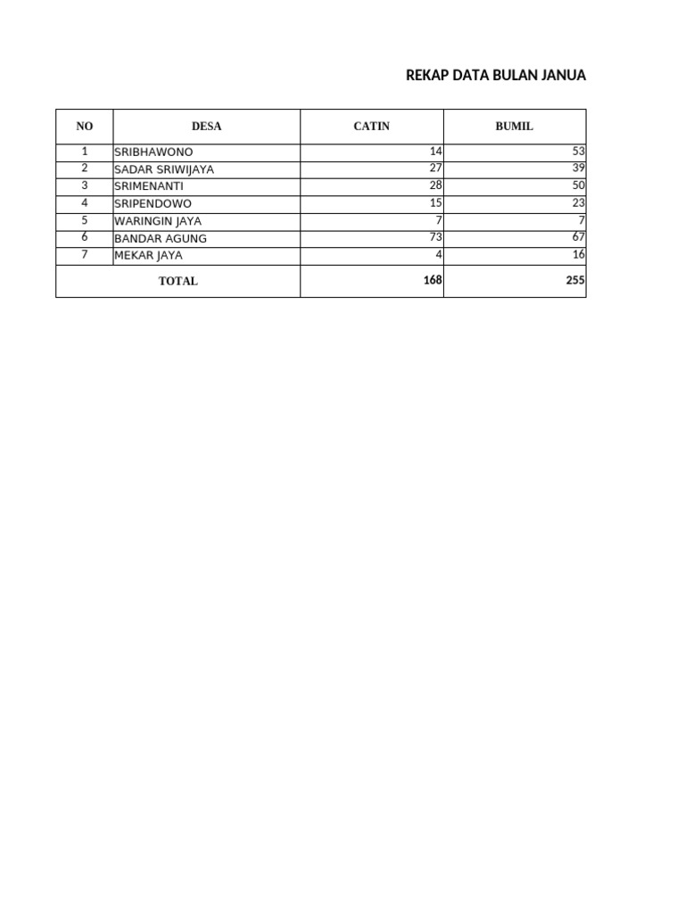 Rekap Data Per Januari-Juli 2024 | PDF