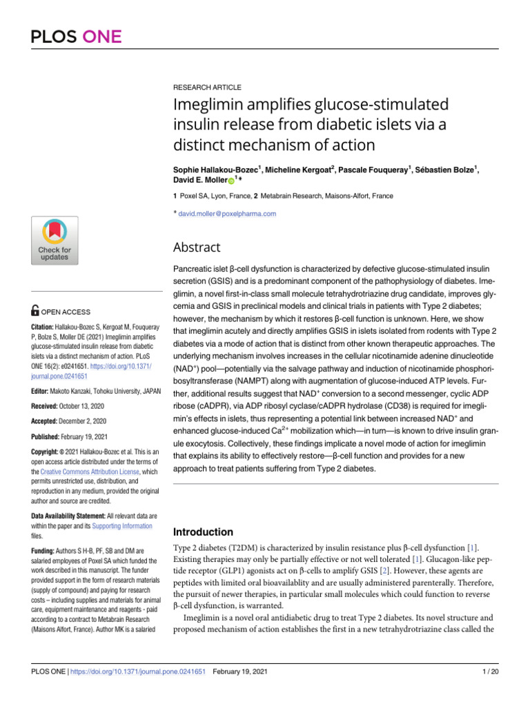 6 Imeglimin Amplifies Glucose-Stimulated Insulin Release From Diabetic Islets Via A Distinct ...