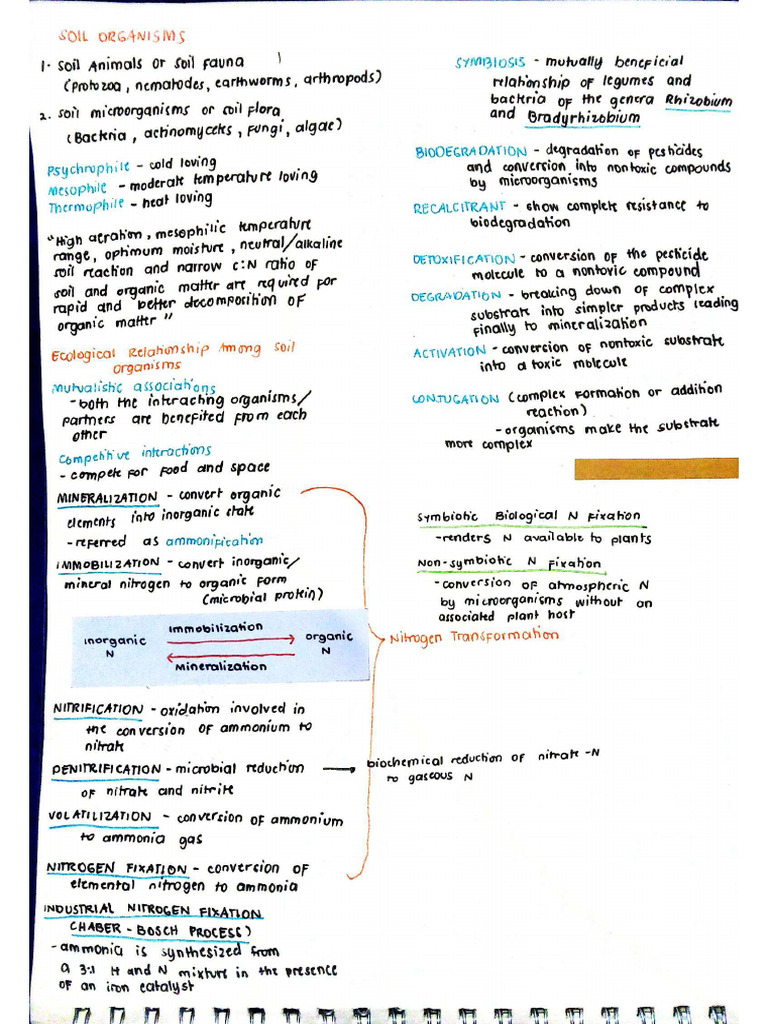 Soil Science Notes | PDF