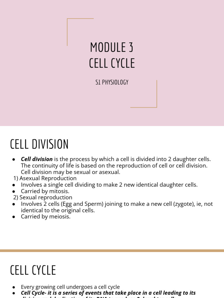 Cell Cycle | PDF