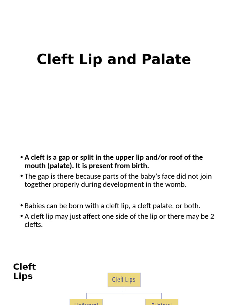 Cleft Lip and Palate | PDF | Medicine | Congenital Disorder