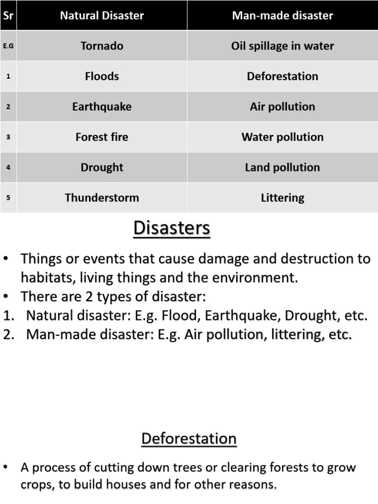 Year 5 Tutorial 2 Revision Notes | PDF