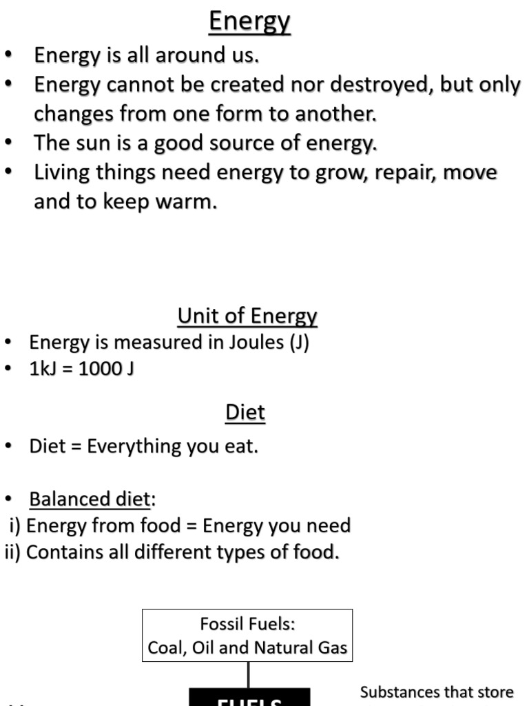 Year 7 Tutorial 2 Revision Notes | PDF