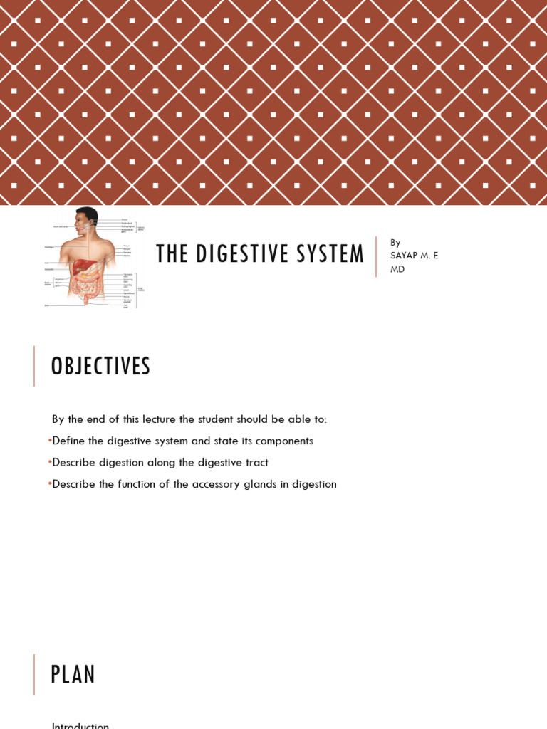 The Digestive System-1 | PDF