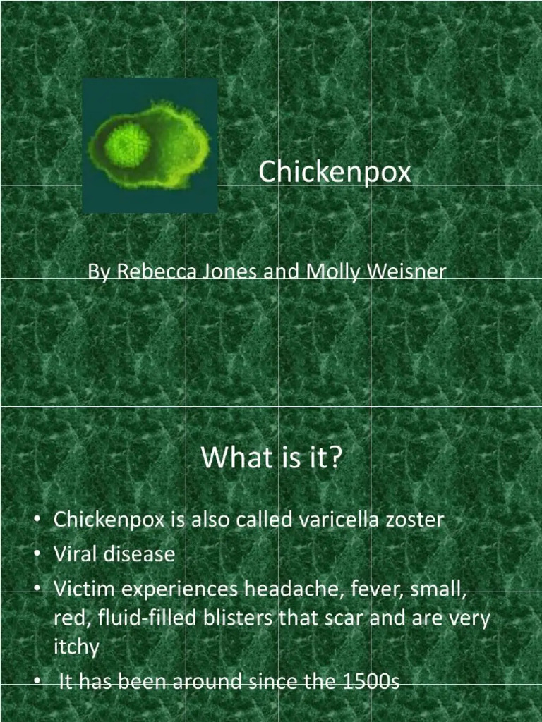 Chicken POL Different From Small Pox | PDF