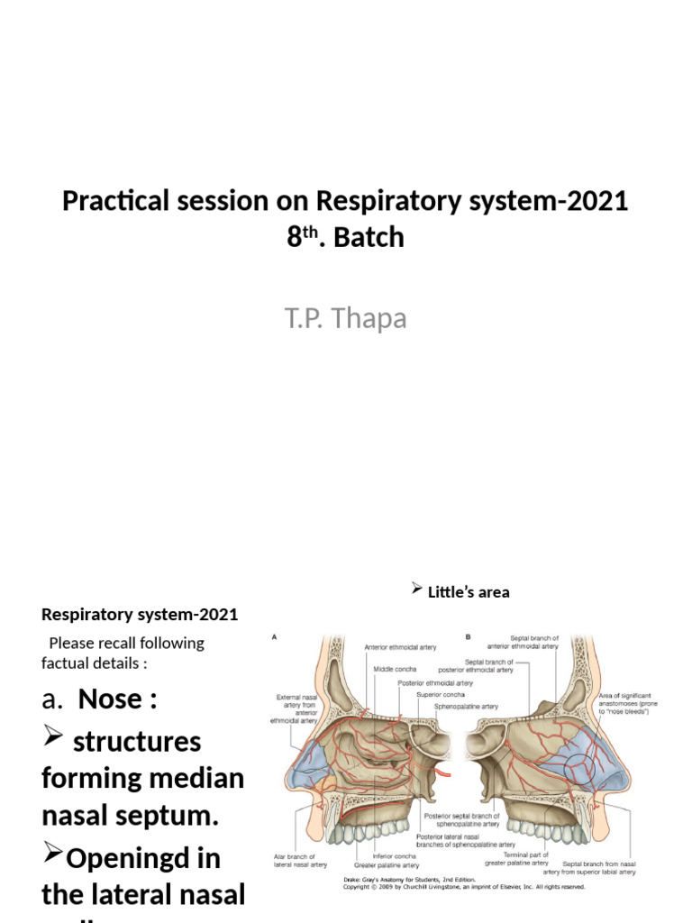 Practical Session On Respiratory System-2021.8th. Batch! | PDF