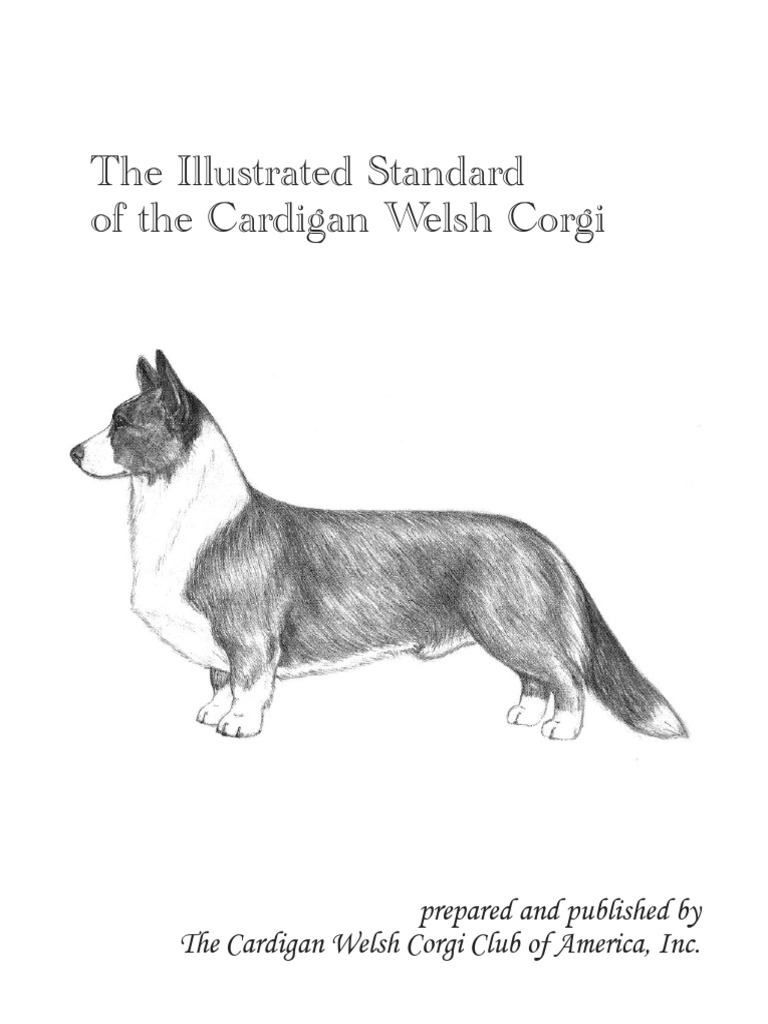 Cardigan Welsh Corgi Illustrated Standard | PDF