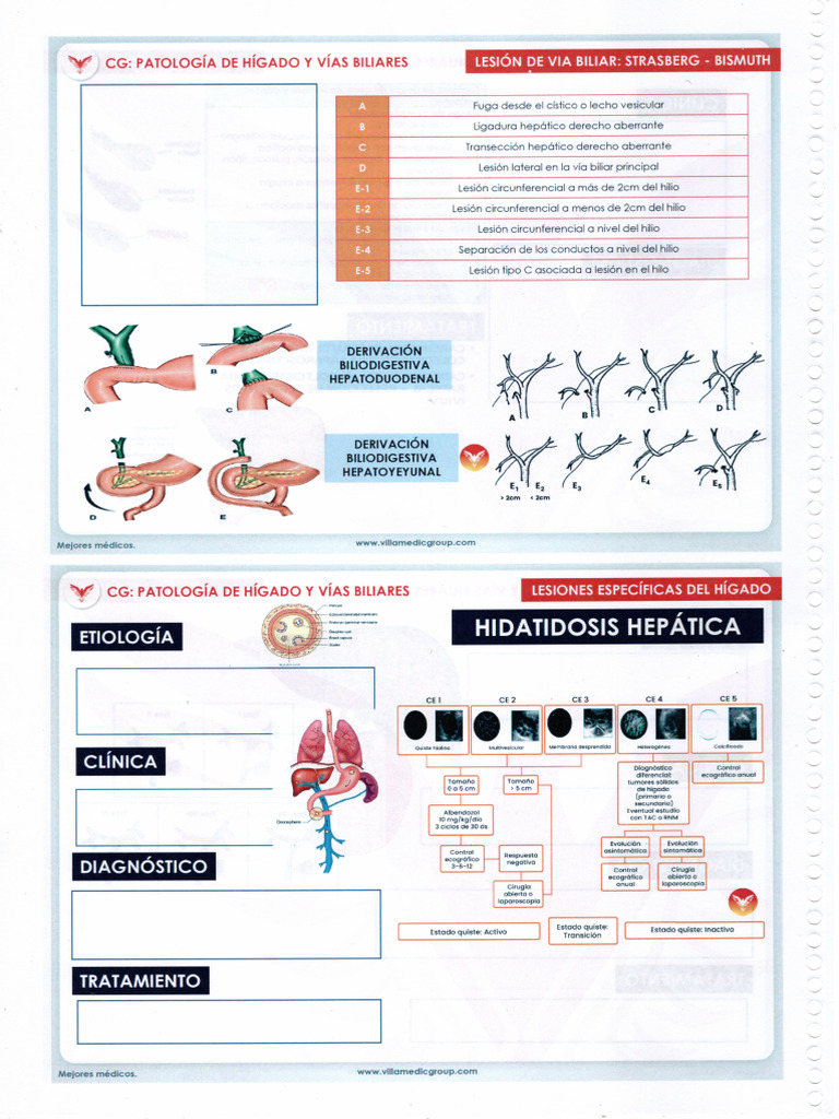 Resumen Ciru Villamedic | PDF