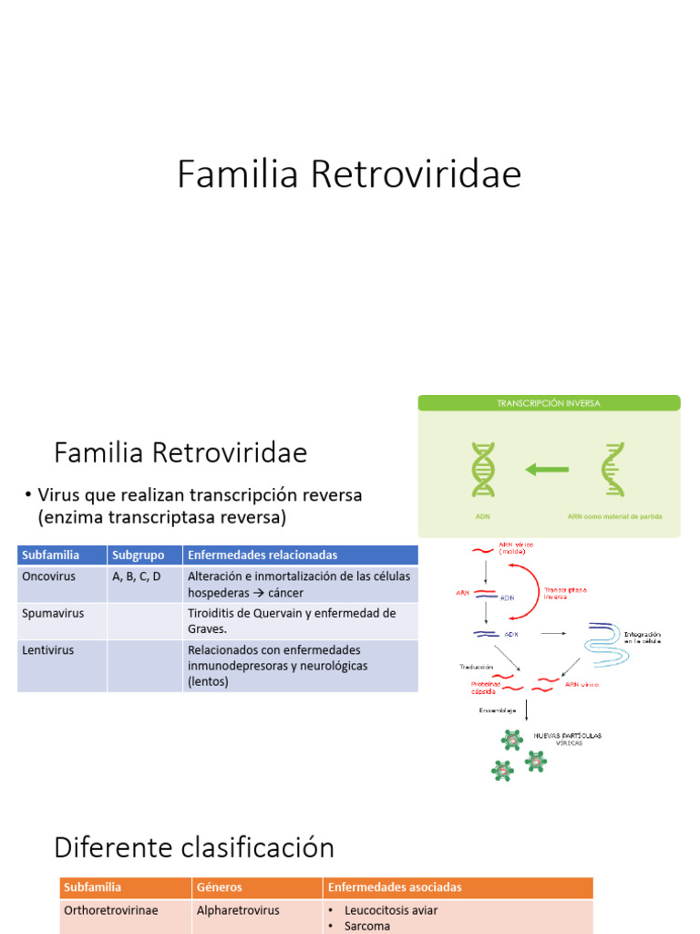 Retrovirus 9 | PDF | Retrovirus | Virology