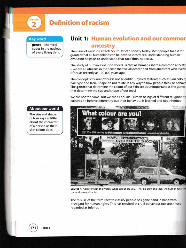 2 Racism Grade 9 History Term 3 | PDF