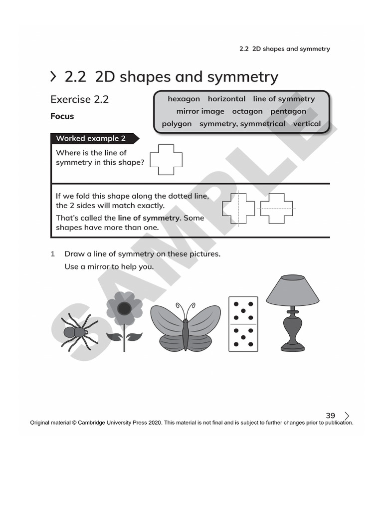 Cambridge Primary Mathematics 2.2 | PDF