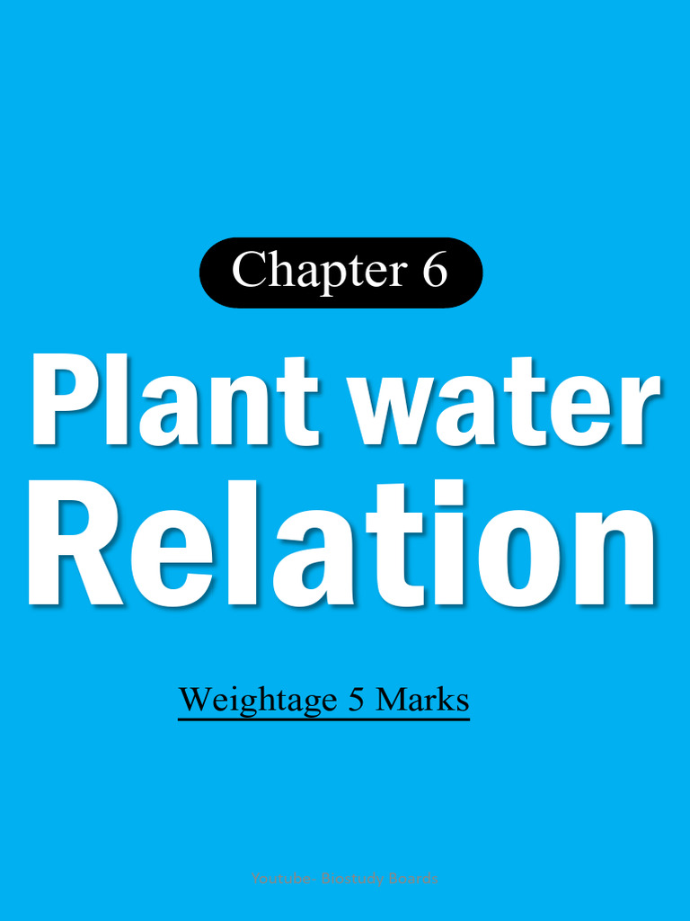 Water Absorption and Transpiration in Plants | PDF | Stoma | Leaf