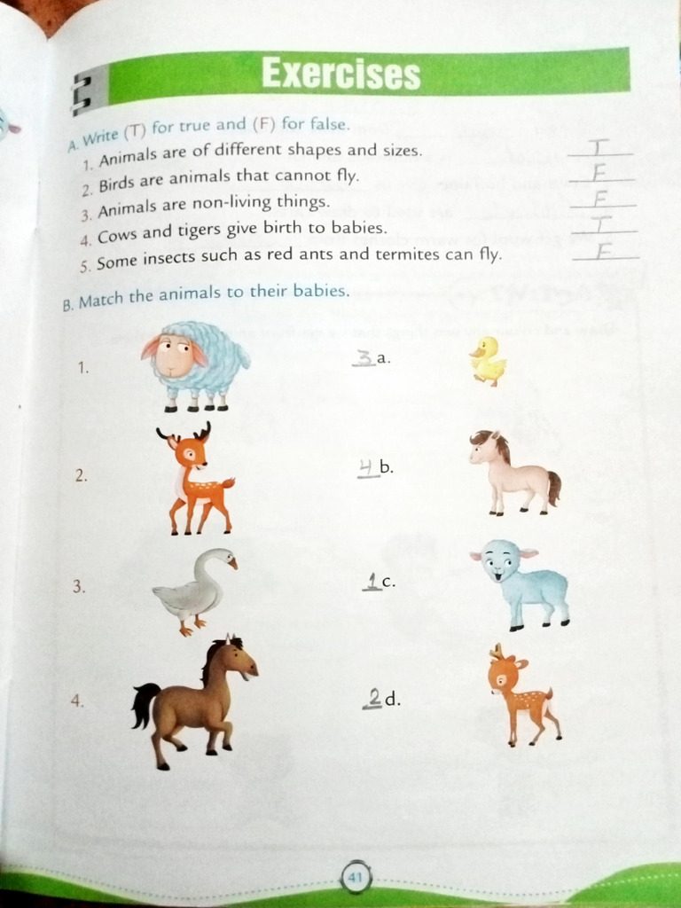 EVS Ch-12 book exercise | PDF