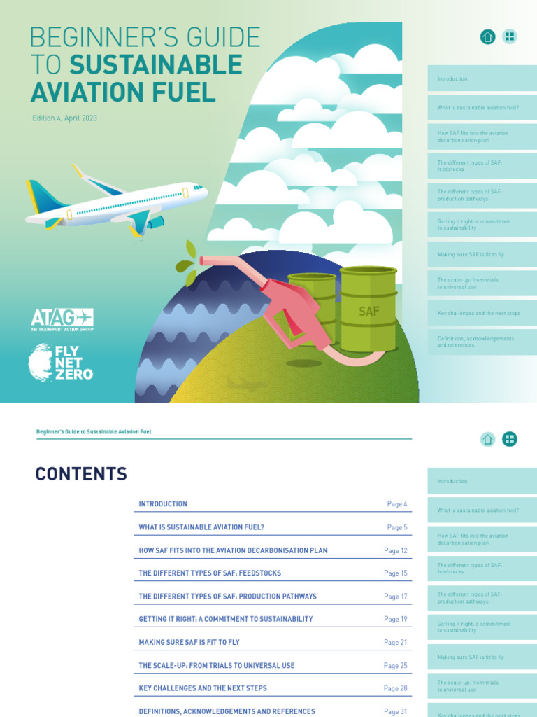 Atag Beginners Guide To Saf Edition 2023 | PDF