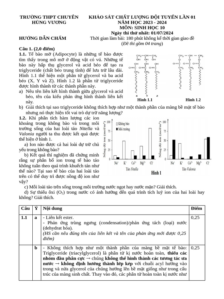 HDC - NGÀY 1 - KSCL LẦN 1 - S10 | PDF