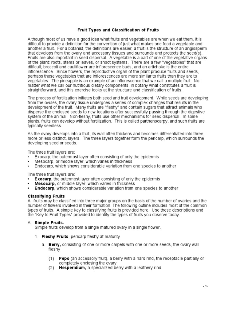 Fruit Types | PDF | Fruit | Seed