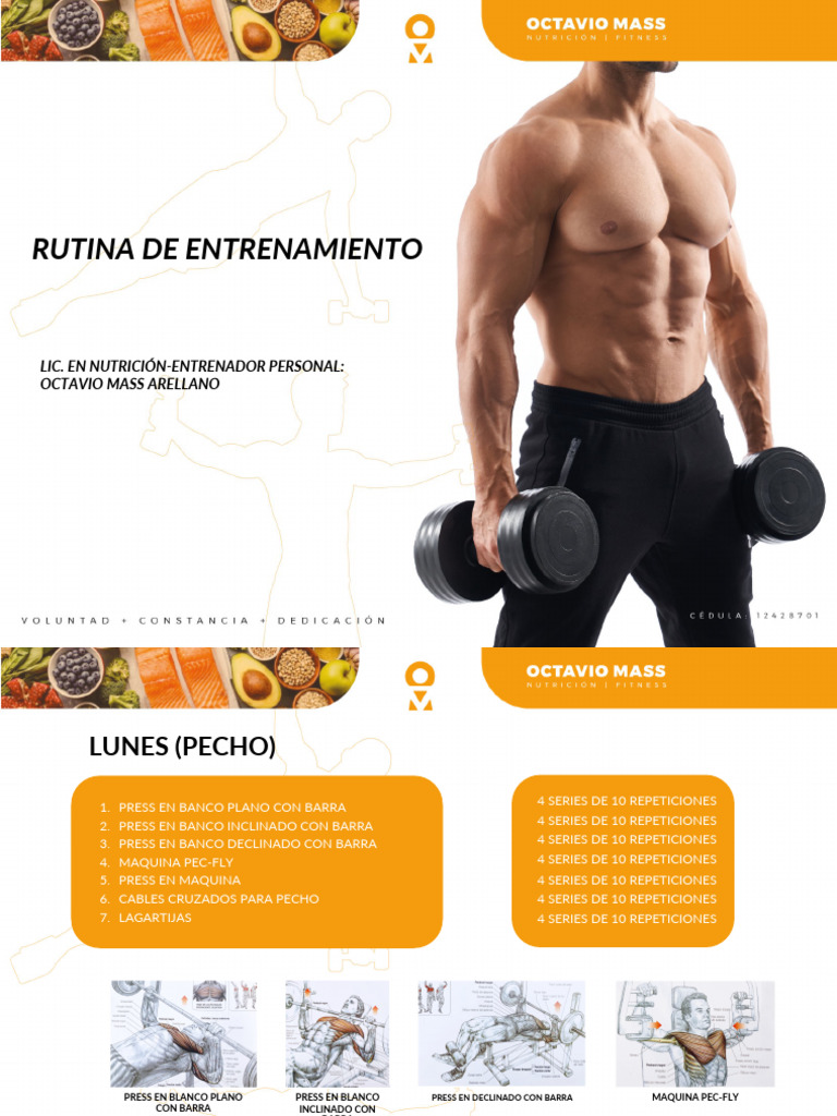 Rutina de Entrenamiento Cesar Aramis | PDF | Entrenamiento con pesas