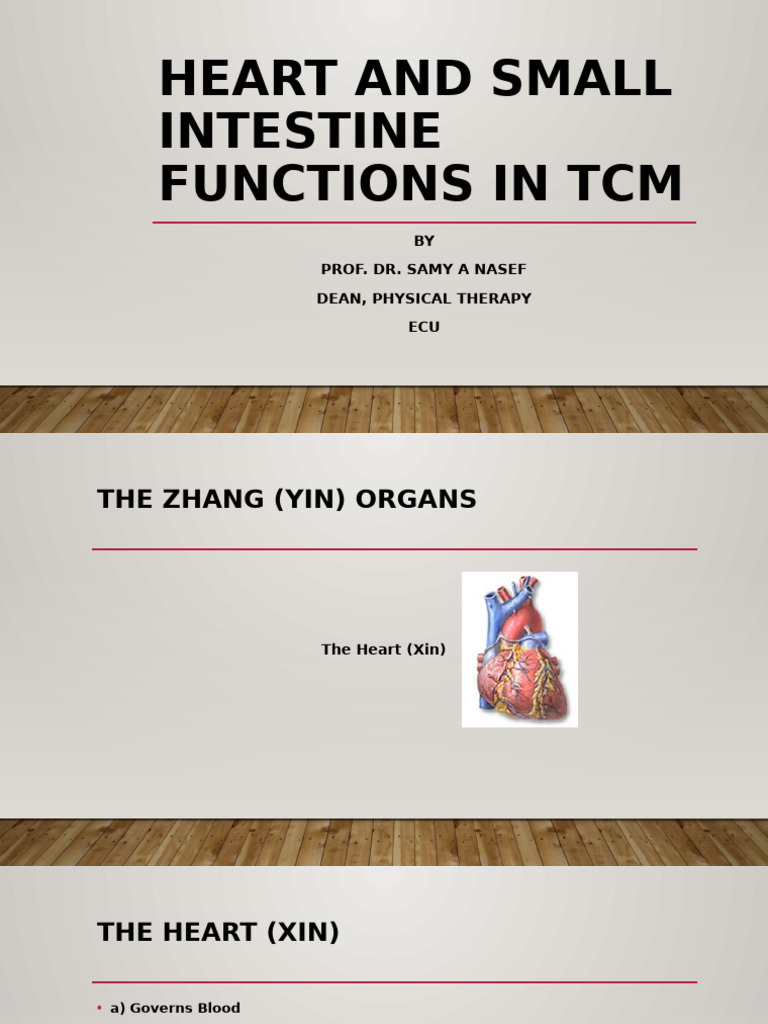 Heart and Small Intestine (2) | PDF