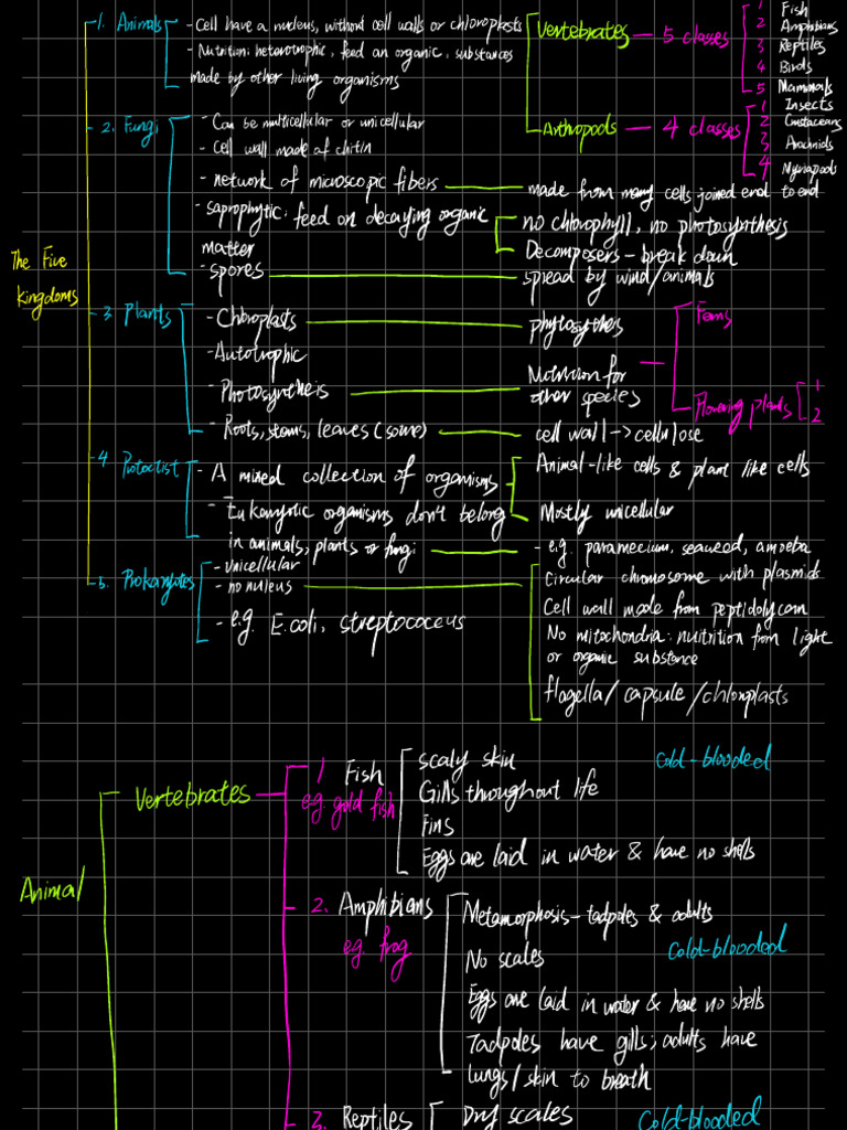 Biology Classification System The Five Kingdoms | PDF