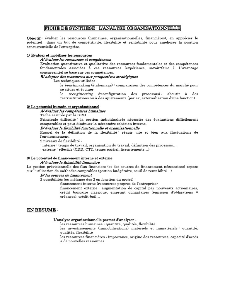 Syntese Analyse Organisationnelle | PDF
