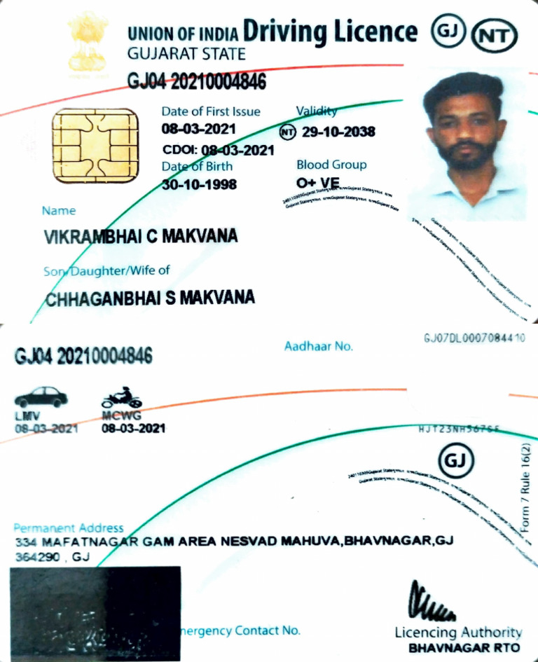 DRIVING LICENSE | PDF