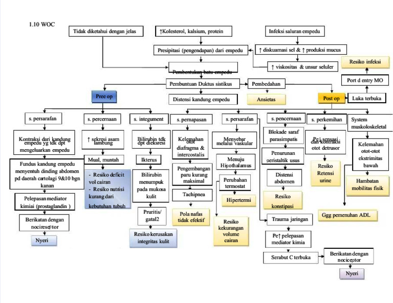 pdf-woc-kolelitiasis_compress | PDF
