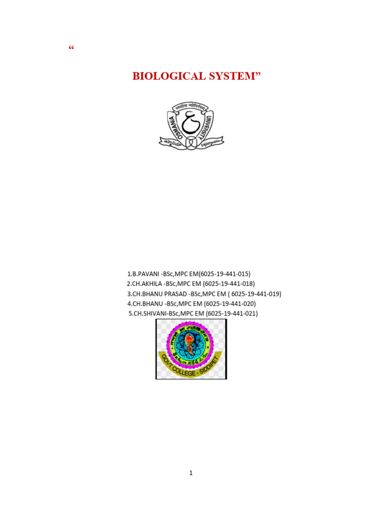 Pavani Project | PDF