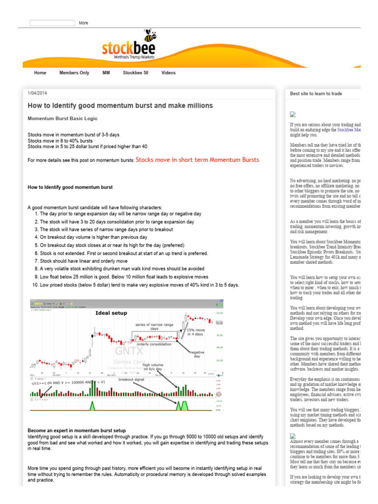 Stockbee - How To Identify Good Momentum Burst and Make Millions | PDF