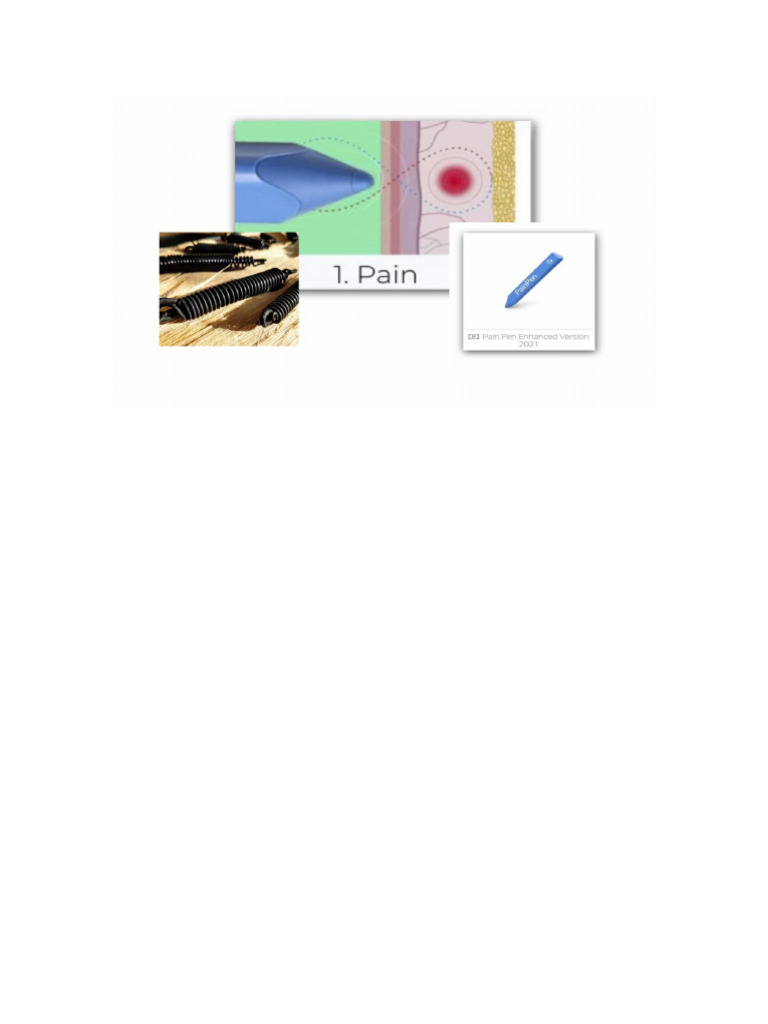 Pain Pen Teaching Part 1 | PDF