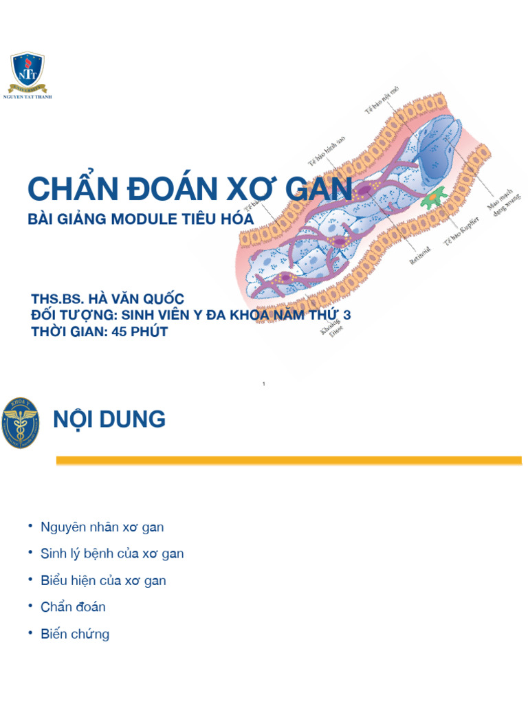 Xơ Gan | PDF